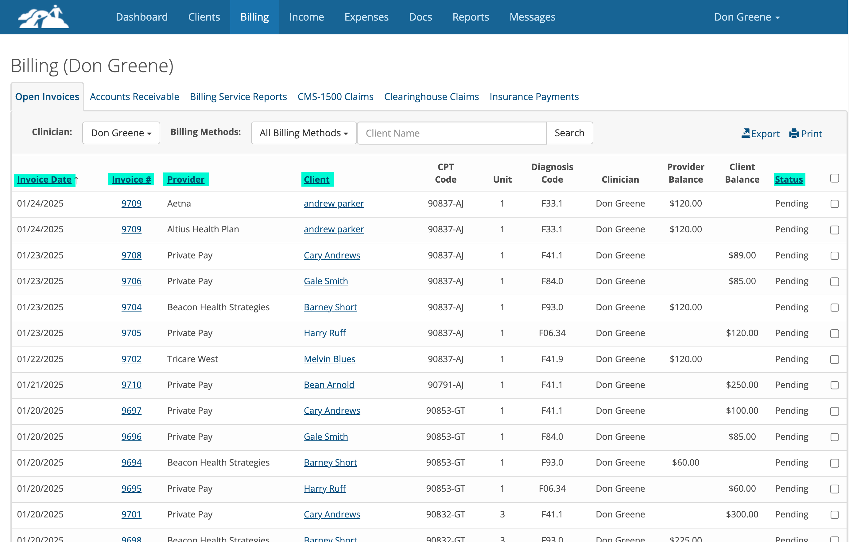 Open Invoices Reporting – TherapyMate